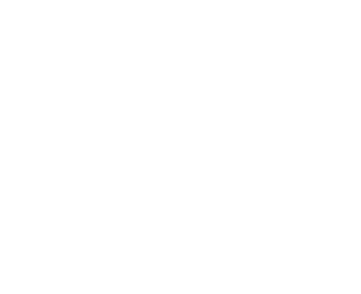 NESR logo